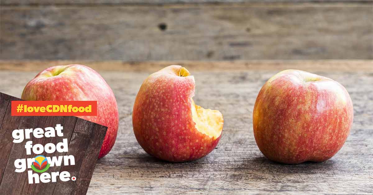 5 Tasty Apple Recipes For Every Meal - Canadian Food Focus