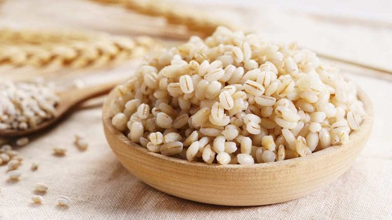 All About Barley - Canadian Food Focus