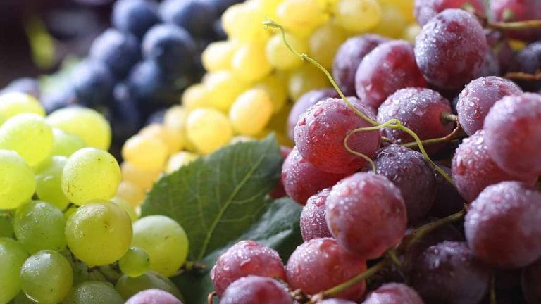 What's in Season? Table Grapes - Canadian Food Focus
