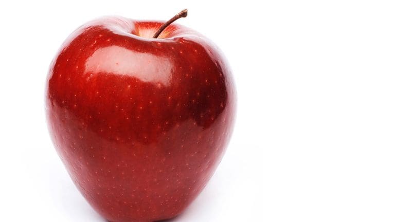 What's in Season? Apples - Canadian Food Focus