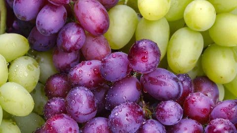 What's in Season? Table Grapes - Canadian Food Focus
