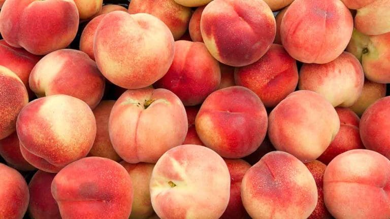 What's in Season? Peaches - Canadian Food Focus