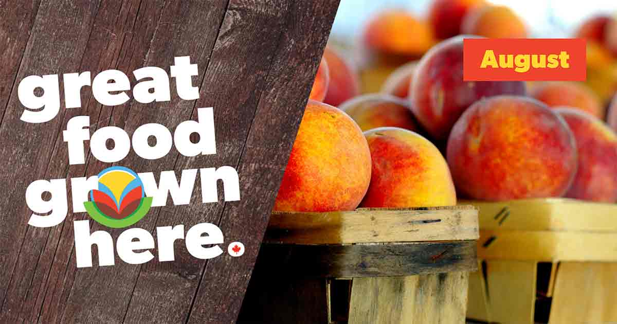 What's In Season: August - Canadian Food Focus