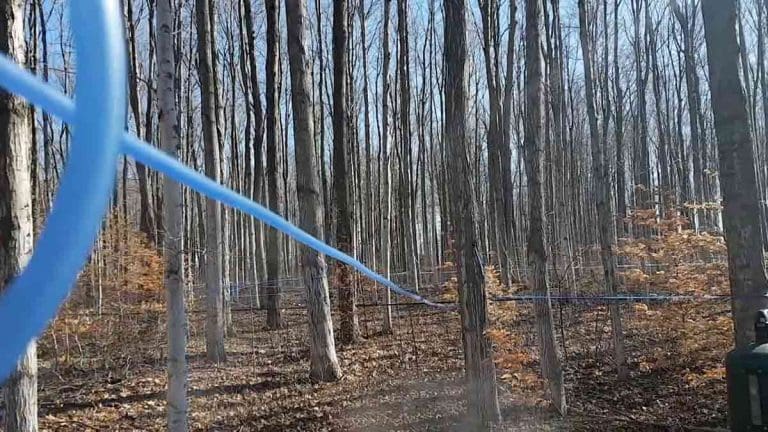 What is Maple Syrup Made of and How is it Produced? - Canadian Food Focus