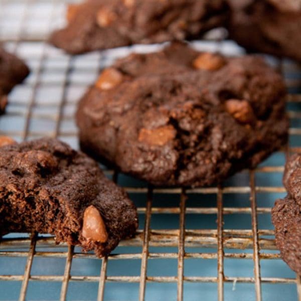 Chocolate ’n Chocolate Chip Cookies - Canadian Food Focus