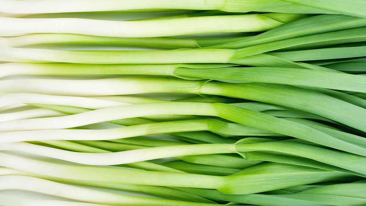 What's in Season? Garlic - Canadian Food Focus
