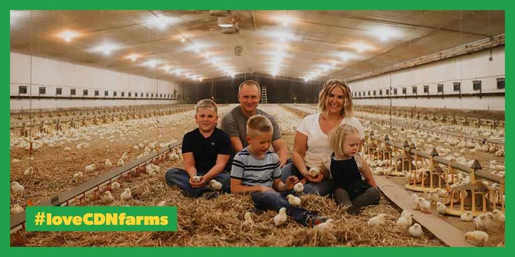 Chicken Farm Takes it Full Circle - Canadian Food Focus