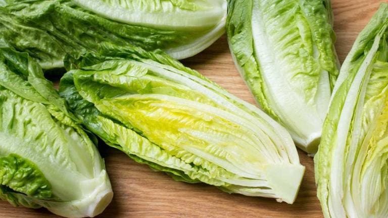 What's in Season? Lettuce - Canadian Food Focus