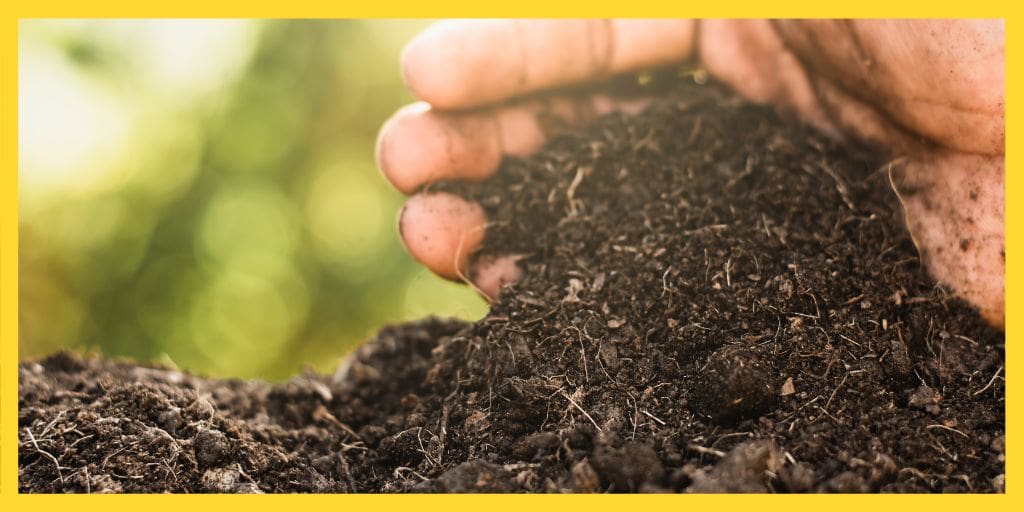 What is Soil? More than just dirt! - Canadian Food Focus
