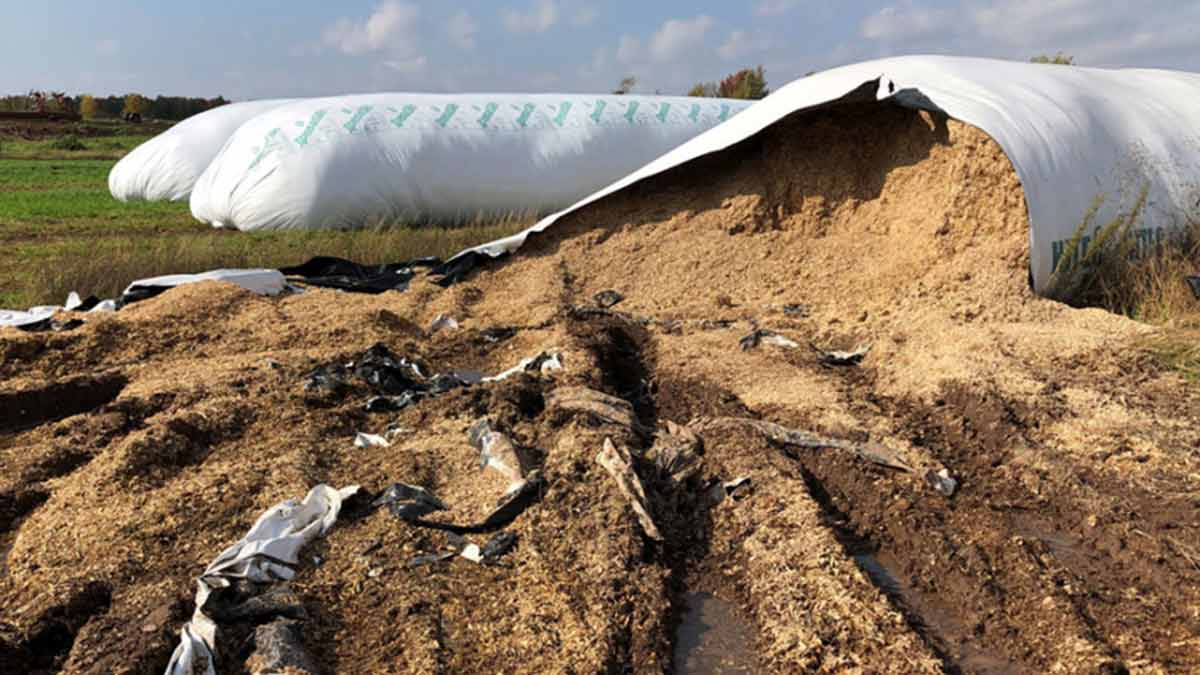 Recycling On The Farm: Cleanfarms - Canadian Food Focus