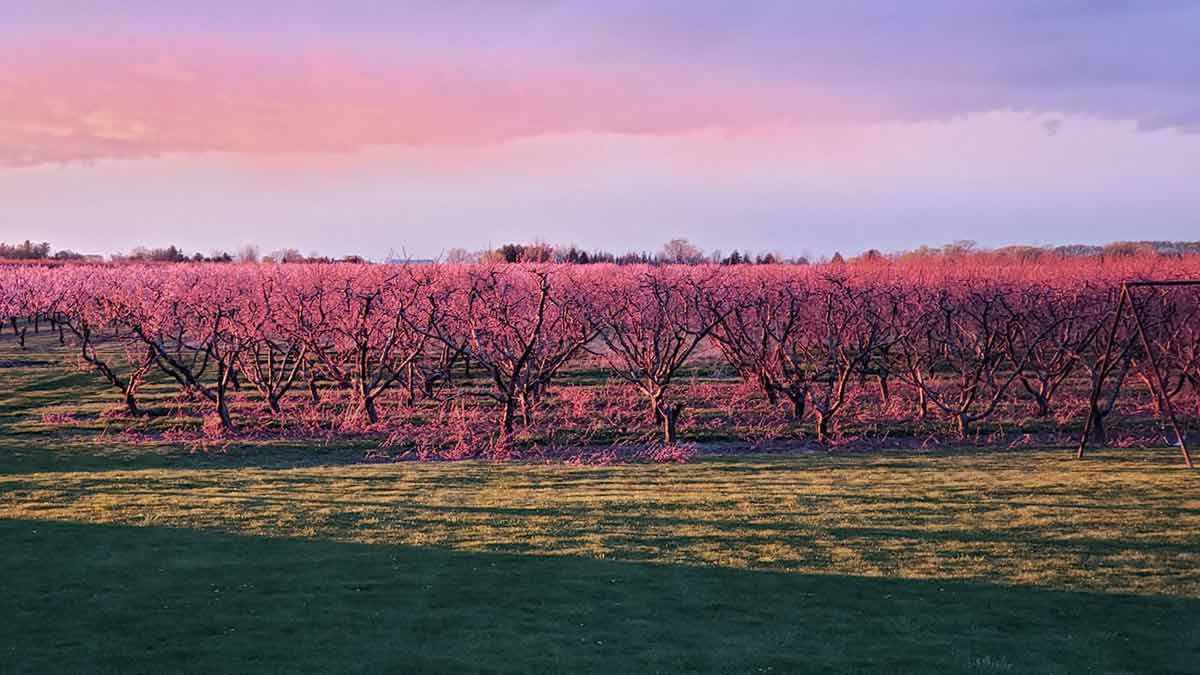 Culinary Federation Farm & Food Tour 2023 - Canadian Food Focus