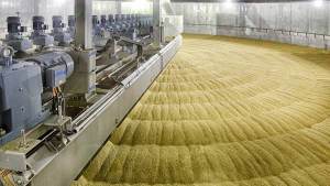 How is Barley Malt Used in Food Production - Canadian Food Focus