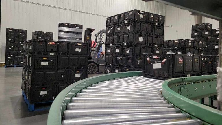 From Orchard to Store: The Apple Journey - Canadian Food Focus