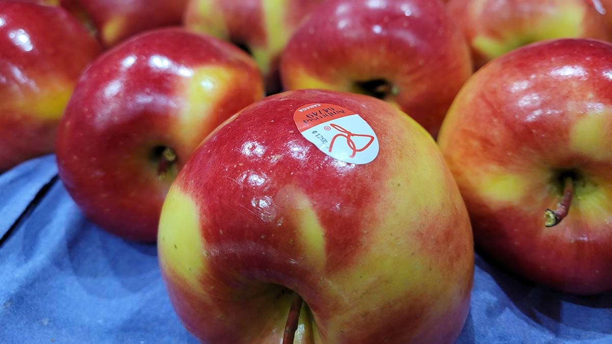 From Orchard to Store: The Apple Journey - Canadian Food Focus