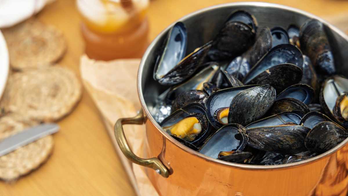 Seven Things You May Not Know About Mussels - Canadian Food Focus