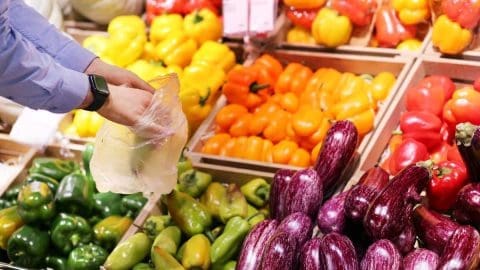 Greenhouse Farming: How Vegetables Are Grown Indoors - Canadian Food Focus