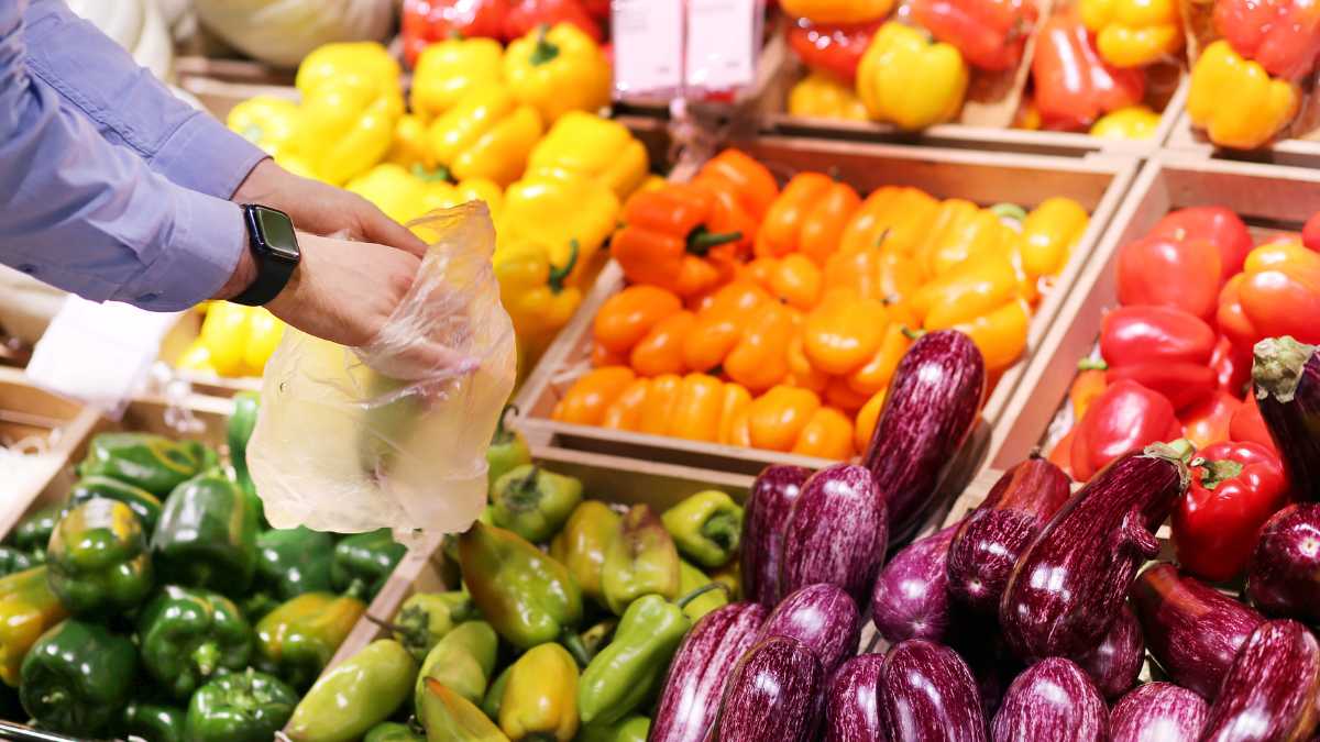 Greenhouse Farming: How Vegetables Are Grown Indoors - Canadian Food Focus